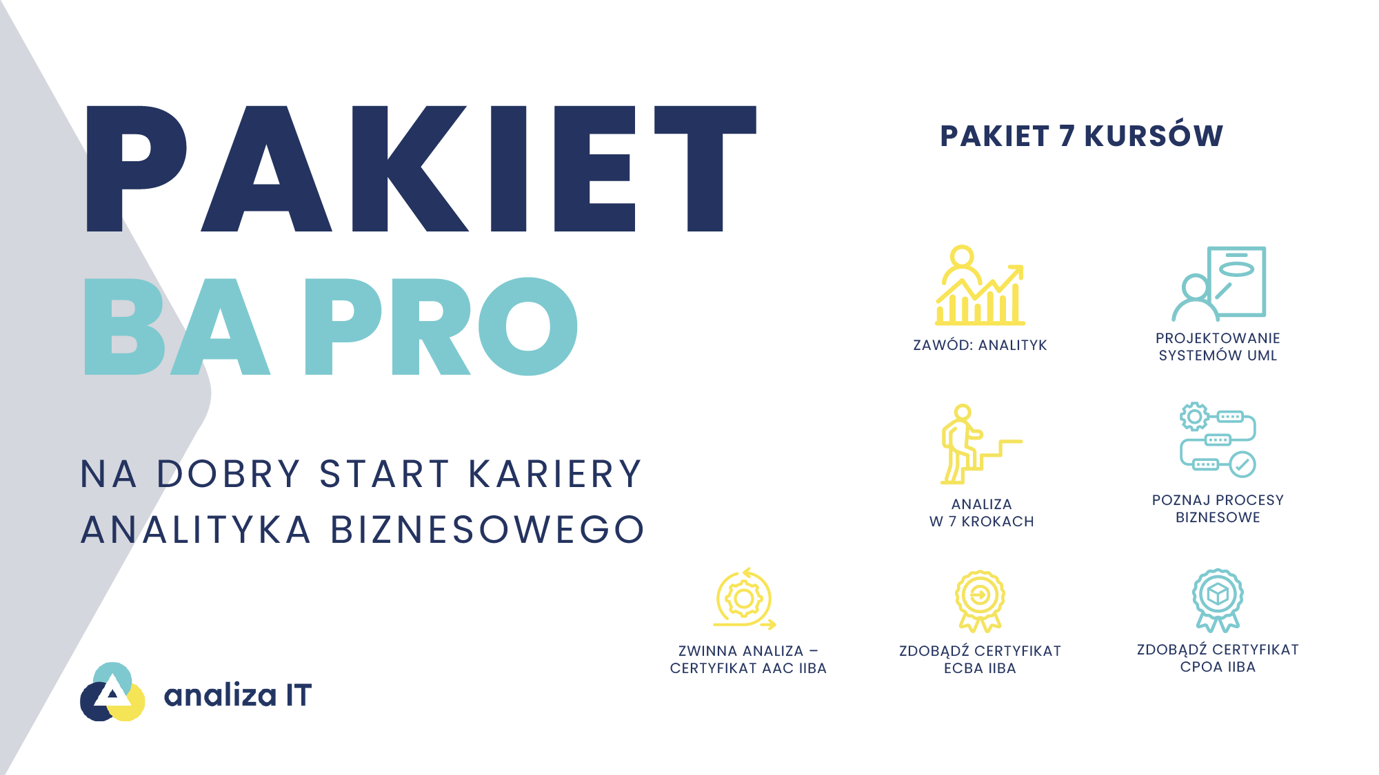 Pakiet BA Pro - analiza it